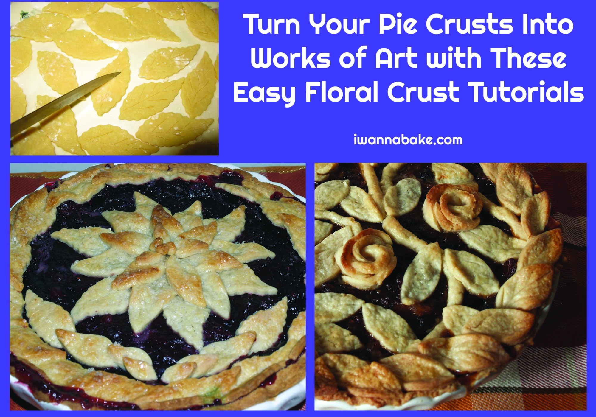 Turn Your Pies Into Works of Art with These Easy Floral Crust Tutorials ...